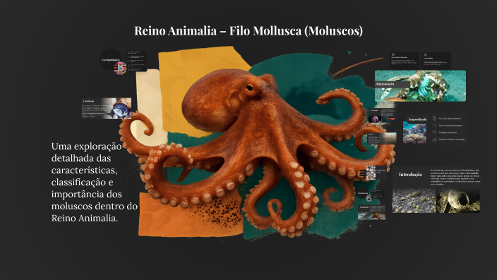 Reino Animalia – Filo Mollusca (Moluscos) by martins miranda on Prezi