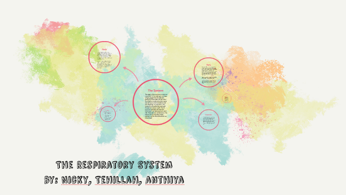 The Respiratory system by Nicky Paci on Prezi
