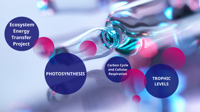 Ecosystem Energy Transfer Project (4A) by Chase Chickillo on Prezi