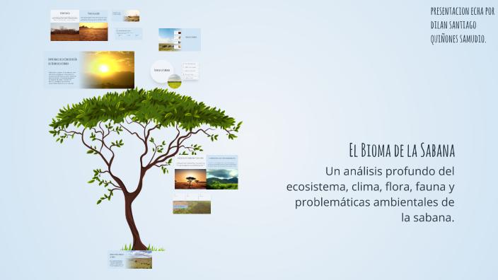 El Bioma de la Sabana by Dilan Quiñones on Prezi