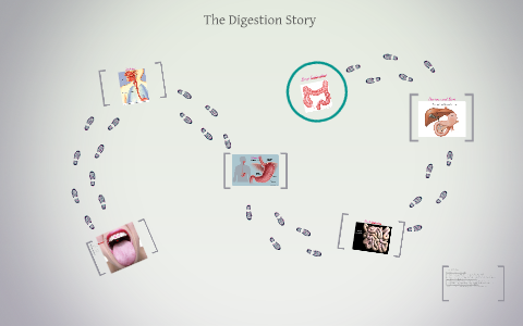 The Digestion Story by Dylan Hunziker on Prezi