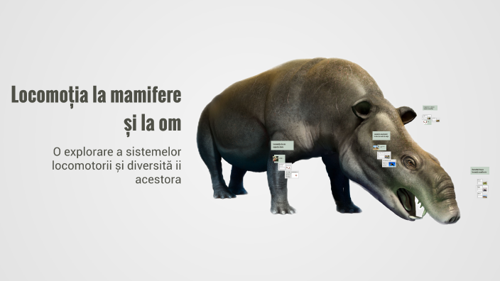 Locomoția la mamifere și la om by Denisa Elena on Prezi
