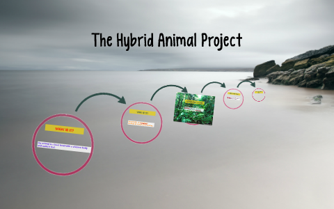 The Hybrid animal project by myles latter on Prezi