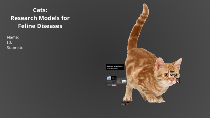 Research Models for Feline Diseases by Rahma Hussein on Prezi