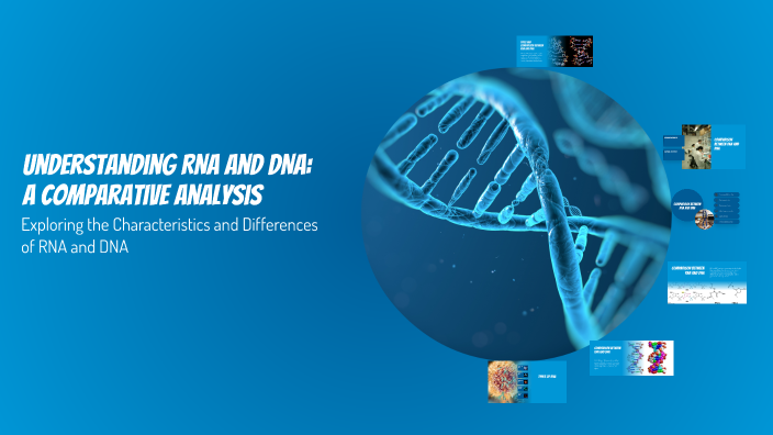Understanding RNA and DNA: A Comparative Analysis by LeeFord Marna on Prezi