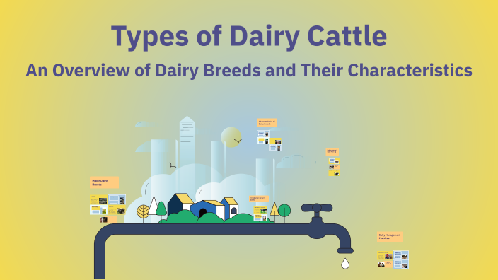 Types of Dairy Cattle by Putri Damela on Prezi