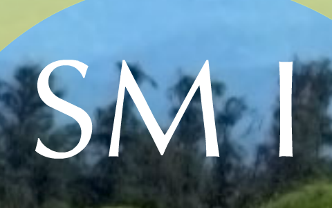 Sports Medicine I Chpt 2 Admin Framework review by Kembra Mathis on Prezi