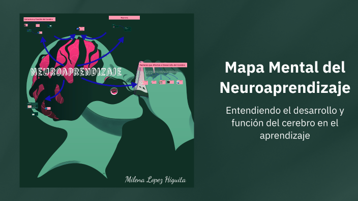 Mapa Mental del Neuroaprendizaje by MILENA LOPEZ on Prezi