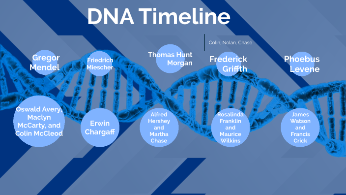 DNA Timeline Richardson by COLIN HILBERT on Prezi