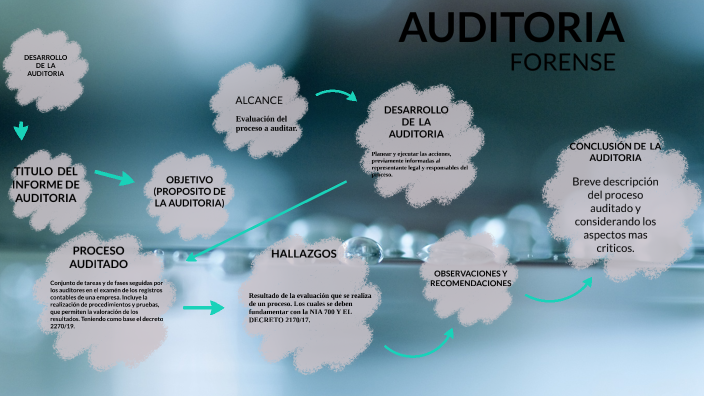 Estructuración y descripción de un informe de auditoria by elkin vargas ...