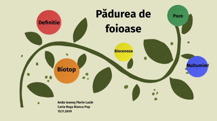 Proiect Padure de Foioase Biologie by Carla Rosu on Prezi