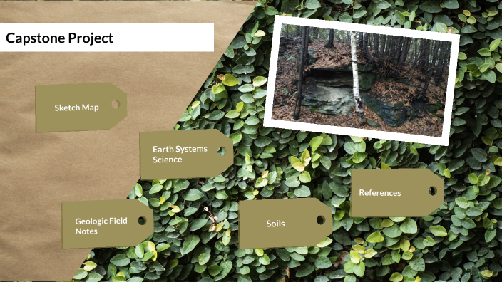 Capstone Project by Emma Holder on Prezi