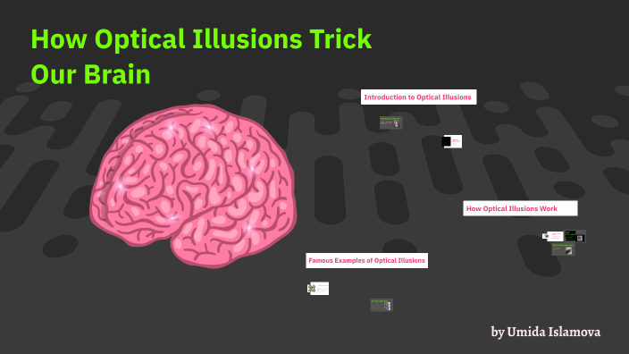How Optical Illusions Trick Our Brain by Umida Islamova on Prezi