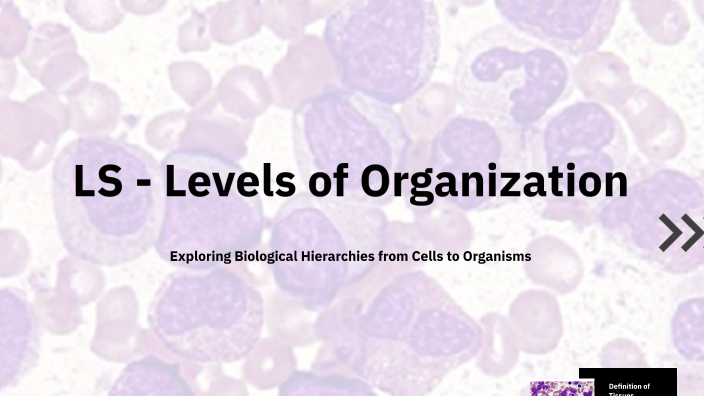 LS - Levels of Organization by Shywanna Greene on Prezi