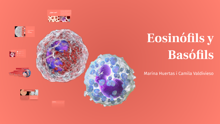Eosinófilos y Basófilos by Marina de los Angeles Huertas Castillo on Prezi