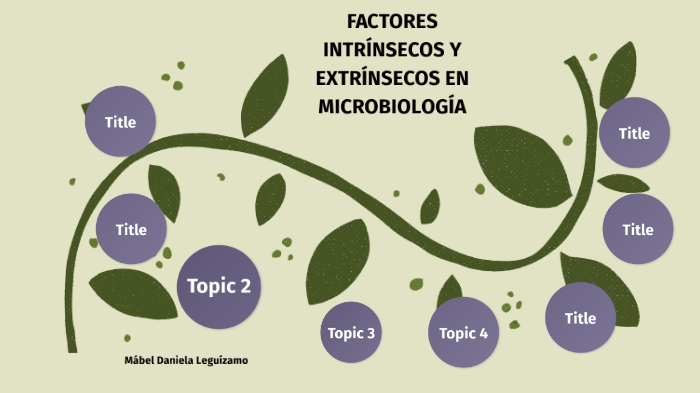 Factores Intrínsecos y Extrínsecos by Mabel Daniela Leguizamo on Prezi