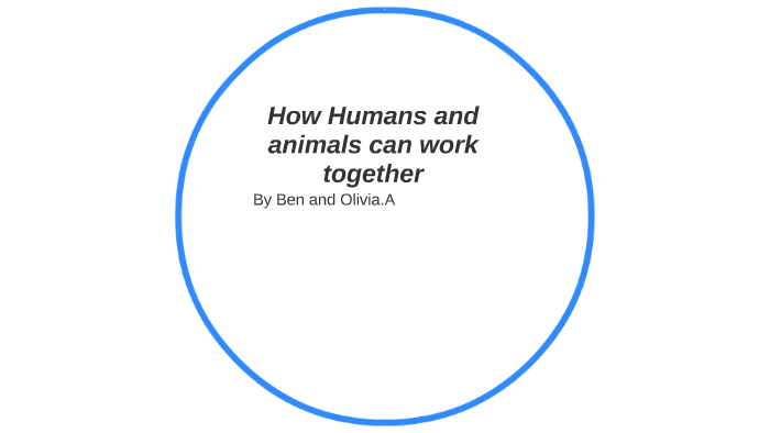 How Humans and animals can work together by Patricia Kalligas