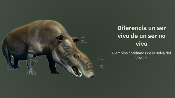 Diferencia un ser vivo de un ser no vivo by FIDEL LAURA LIZARBE on Prezi