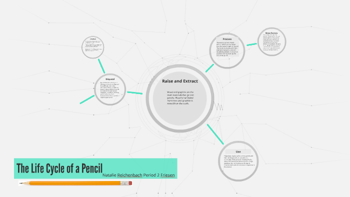 The Life Cycle of a Pencil by Natalie Reichenbach on Prezi