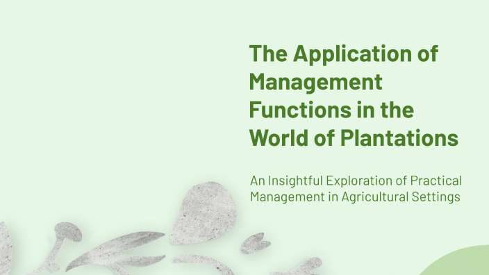 The Application of Management Functions in the World of Plantations by ...