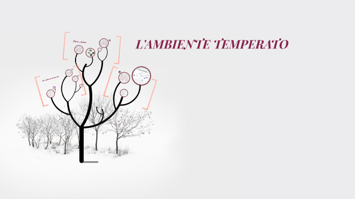 L'AMBIENTE TEMPERATO by majin fasix on Prezi