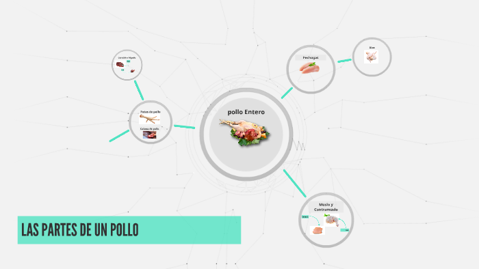 Las partes de un pollo by sebastian Conde Lagrega on Prezi