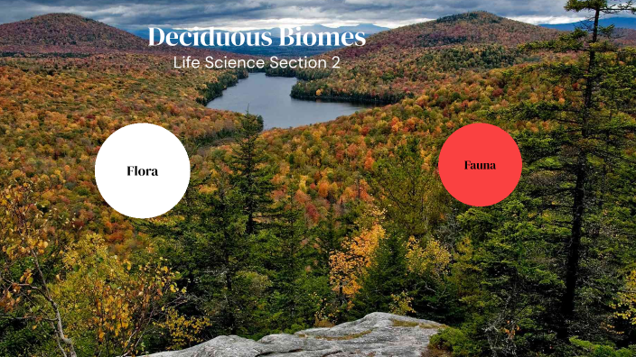 LS2- Deciduous Biomes by Donnie Howell on Prezi