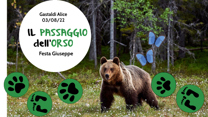 IL PASSAGGIO DELL' ORSO - Gastaldi Alice 03/08/22 by Alice Gastaldi on ...