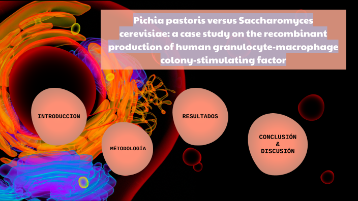 Pichia pastoris vs Saccharomyces by Barbara Espindola on Prezi