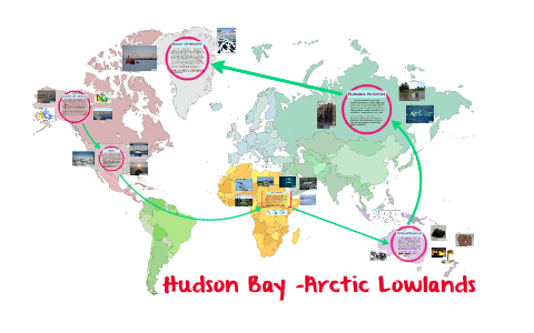 Hudson Bay -Arctic Lowlands by Lisa Yeung on Prezi