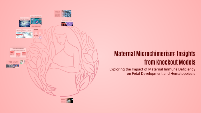 Maternal Microchimerism: Insights from Knockout Models by Noa ...