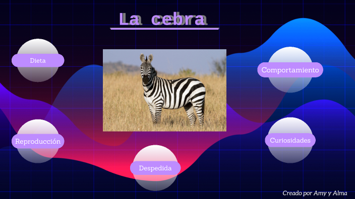La cebra by Hufflepuff ..... on Prezi