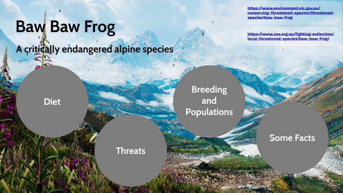 Baw Baw Frog by Jake Raimondi on Prezi