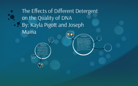 The Effects Of Different Detergent on the Quality Of DNA by Kayla ...