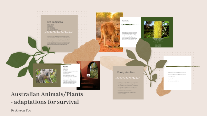 Australian Animals/Plants - adaptations for survival by Alyson Foo on Prezi