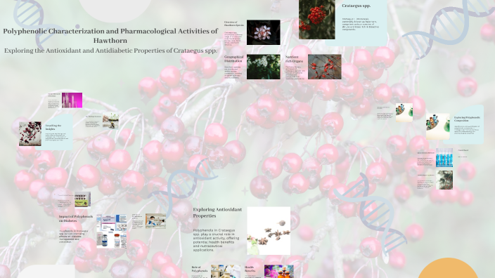 Polyphenolic Characterization and Health Benefits of Hawthorn by ANNA ...