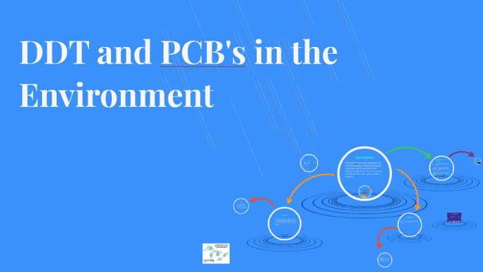 DDT and PCBs in the Environment by Alexis Ruiz