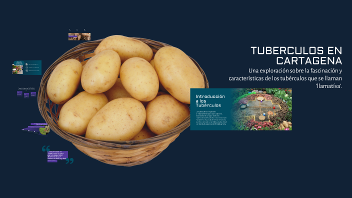 TUBERCULOS QUE SE LLAMATIVA by key barrios on Prezi