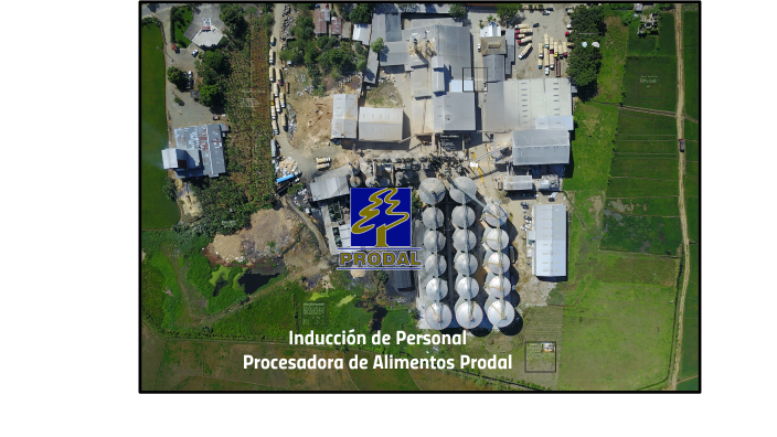 Inducción Prodal by Francisco Nuñez on Prezi