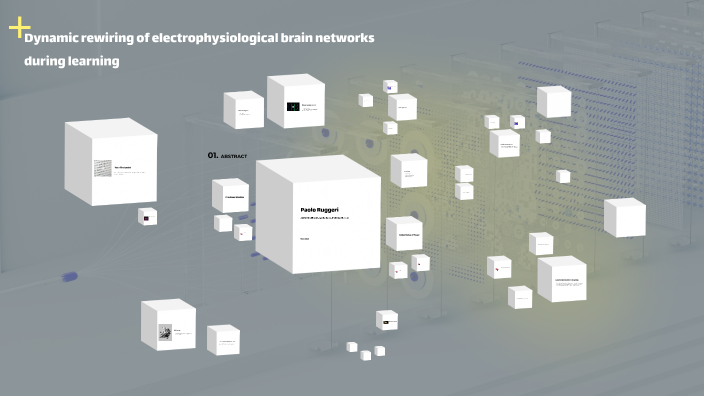 Dynamic Brain Network Rewiring by Amirmahdi Daraei on Prezi