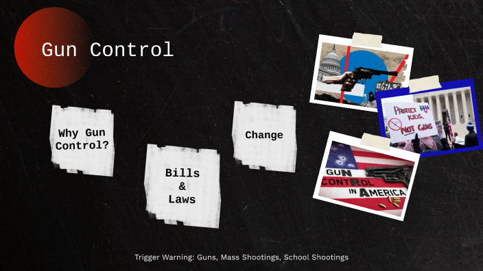 COM 287 Social Issue Speech Visual Aid by Hanna Young on Prezi