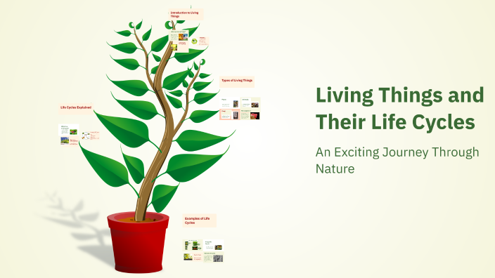 Living Things and Their Life Cycles by Isaac Omoyeni on Prezi