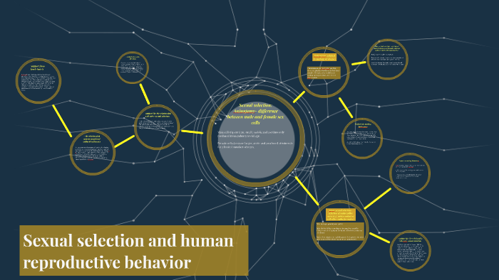 Sexual selection and human reproductive behavior by Imogen Stewart on Prezi