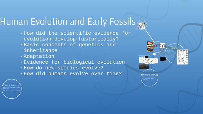 Human Evolution and Anthropology by Christian Palmer on Prezi