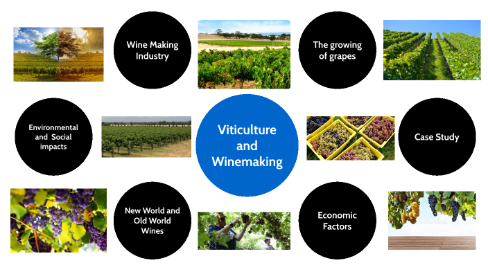 Geography by Audrey Laing on Prezi