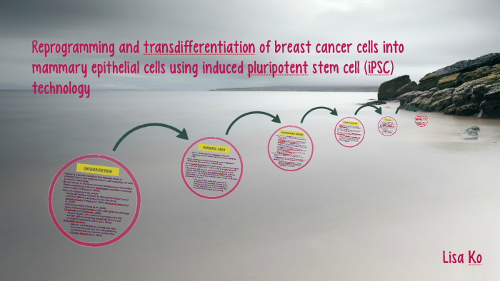 Reprogramming and Transdifferentiation of breast cancer cell by Lisa Ko ...