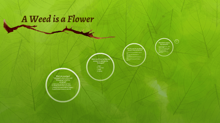 A Weed is a Flower by Alexa Jones on Prezi