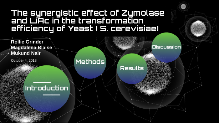 Biology Group Transformation Project: Synergistic effect of Zymolase ...
