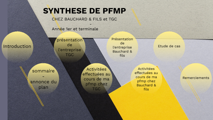 présentation synthese pfmp by Wyatt Garwood on Prezi