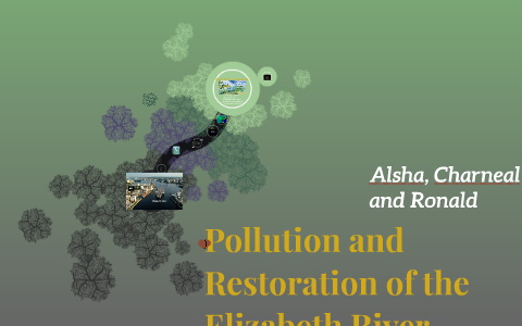 Pollution and Restoration of the Elizabeth River by Charneal Cunningham ...